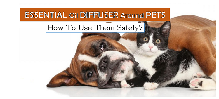 Diffusing Essential Oils Around Pets: Is It Safe? | EOilDiffuser.com ...