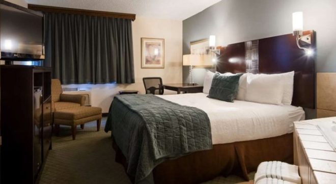 HOTEL Room Smells Musty? 5 Best Tricks That Can Work !!! | EOilDiffuser ...